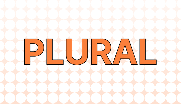 Plural 뜻과 예시
